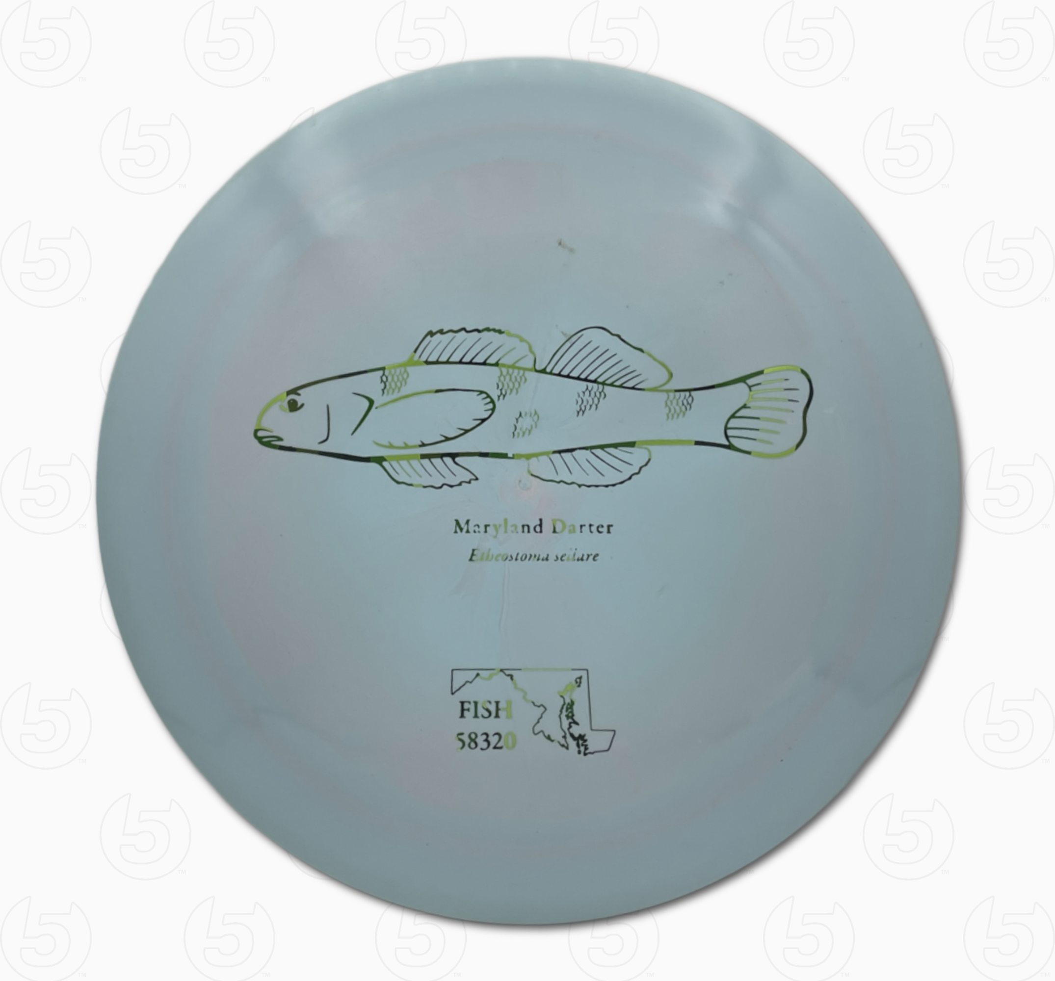 Discraft ESP Scorch | Circle Five